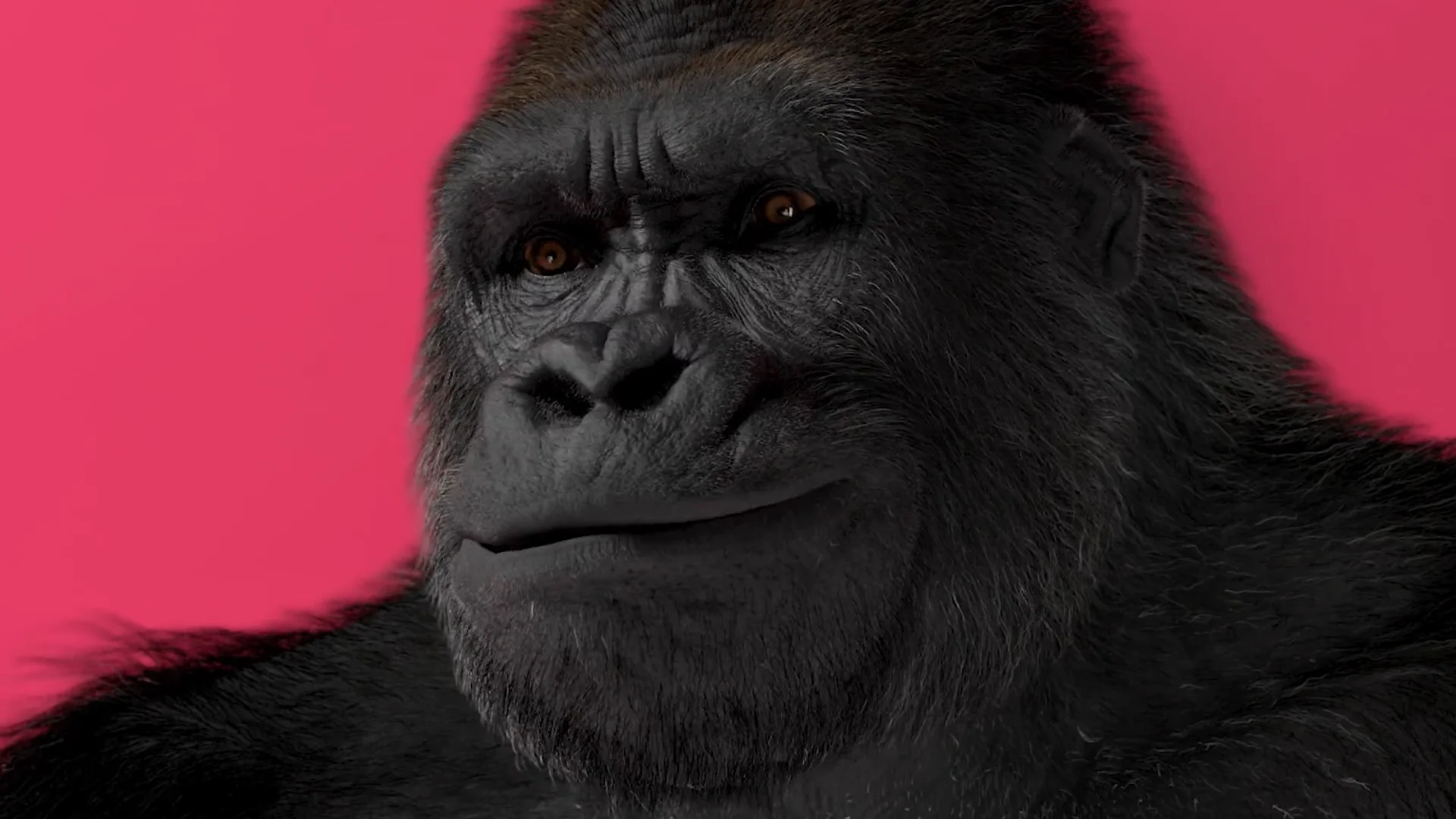 Dancing Gorilla on Vimeo