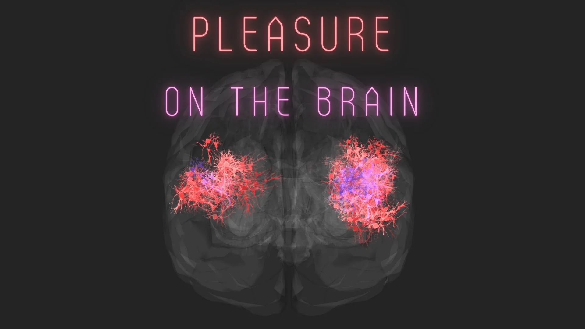 EEG Data Visualization on Vimeo