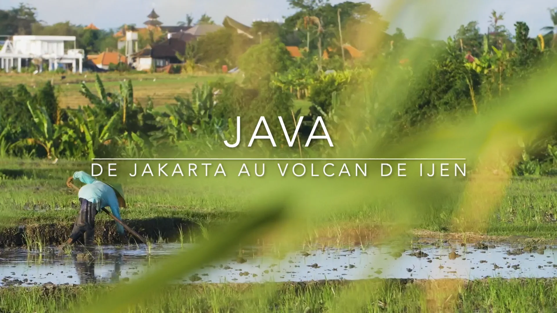 JAVA on Vimeo