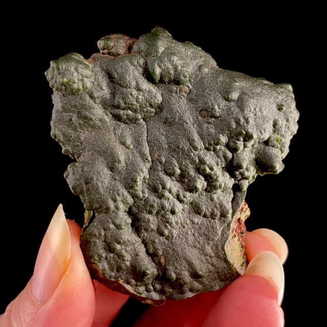 Conichalcite (rare from Tsumeb) | Tsumeb Mine, Oshikoto Region, Namibia