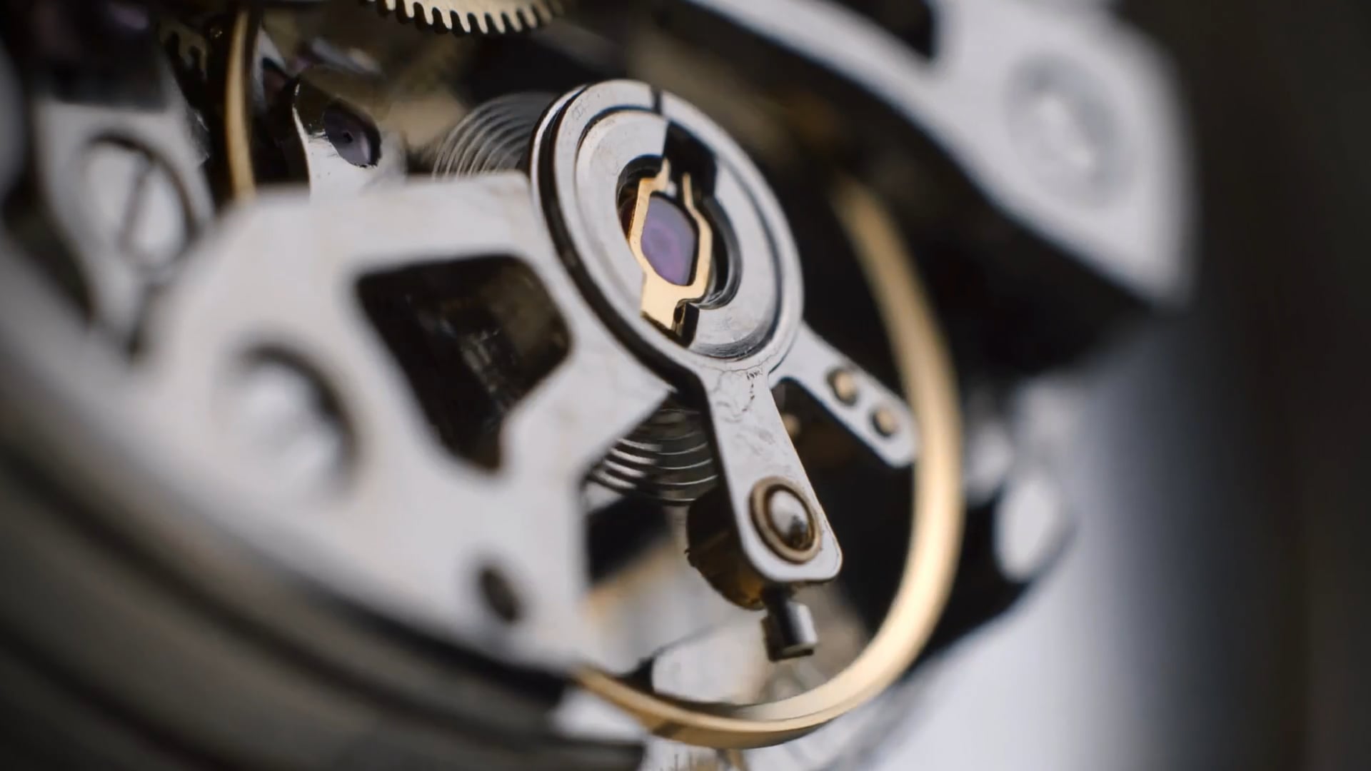 Luxury Watch Dealer - Canary Wharf