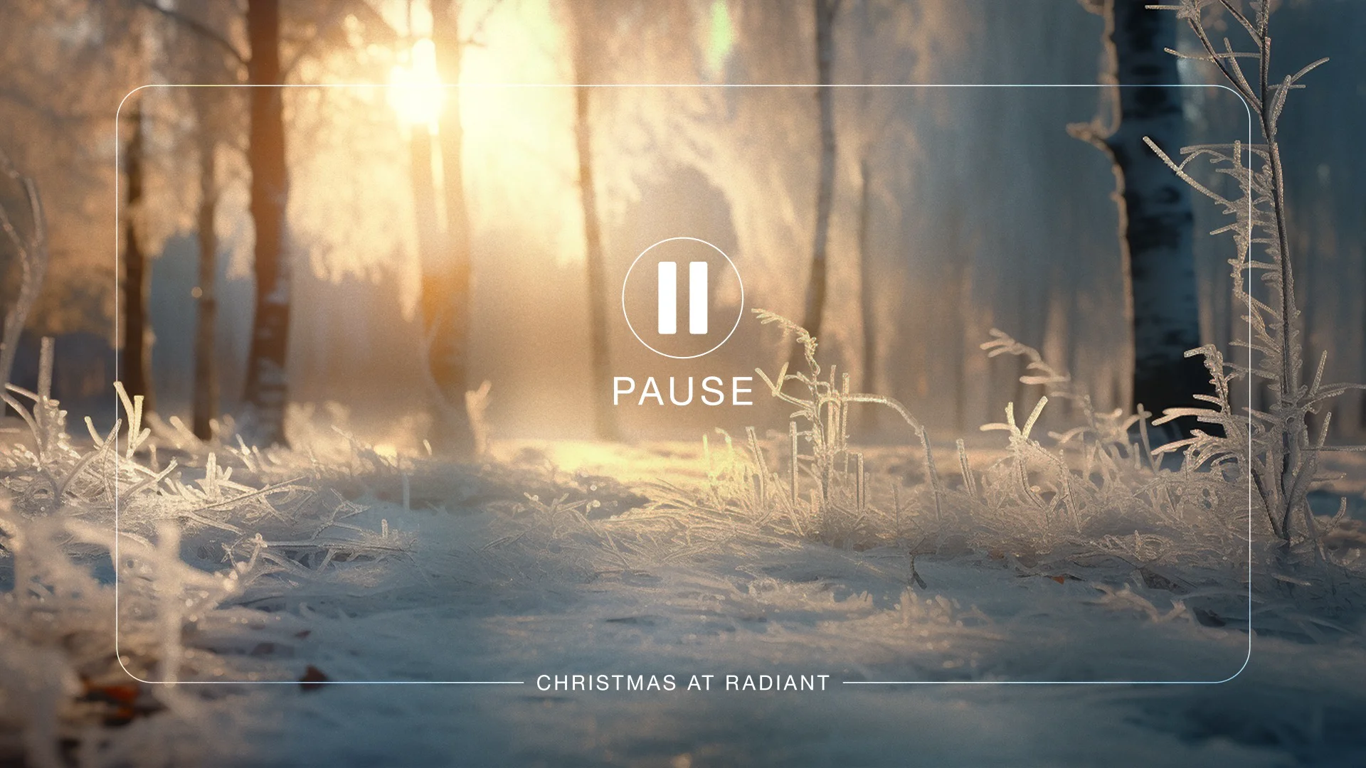 Pause - Peace