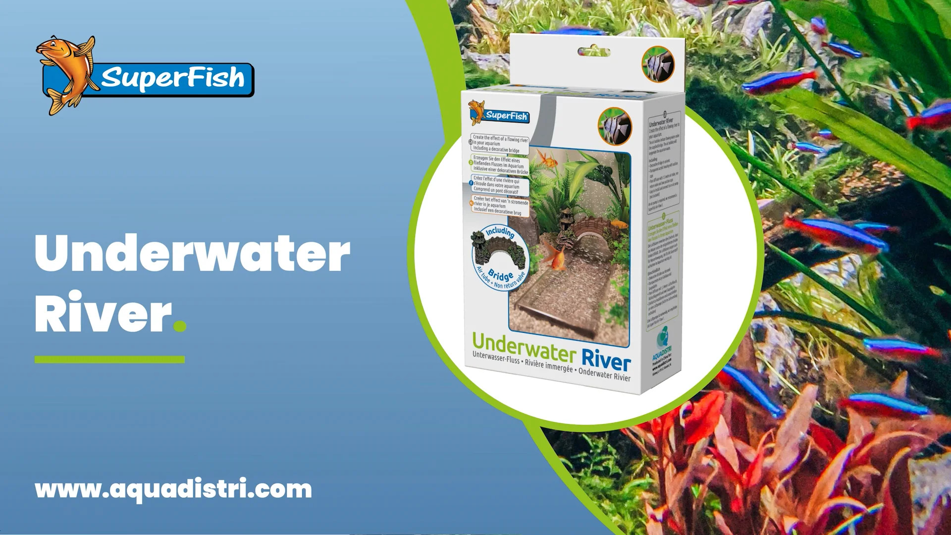 SuperFish | Underwater River on Vimeo