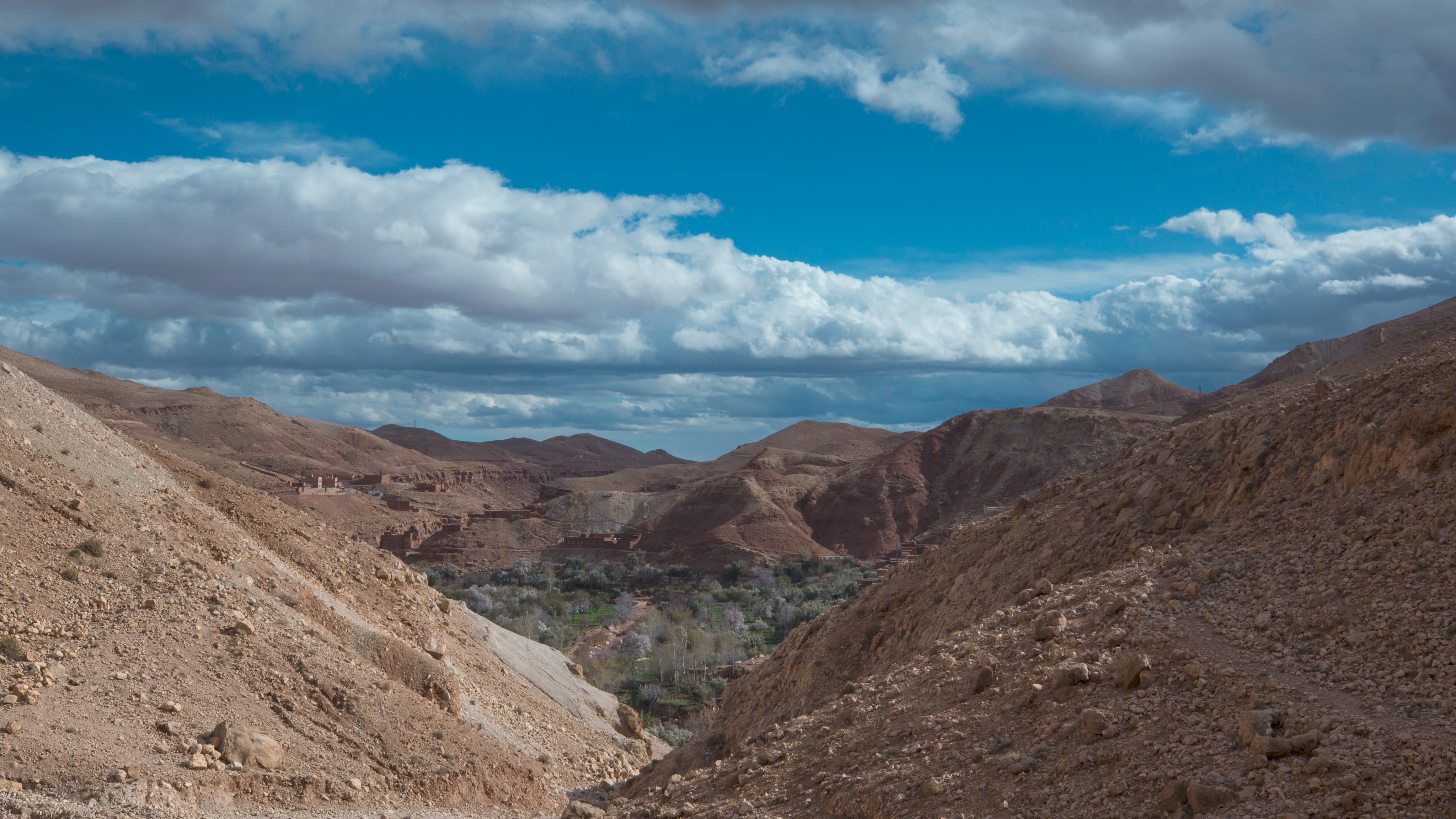 MAMA-TL-08_ProRes-444_4K_23.976_UHQ