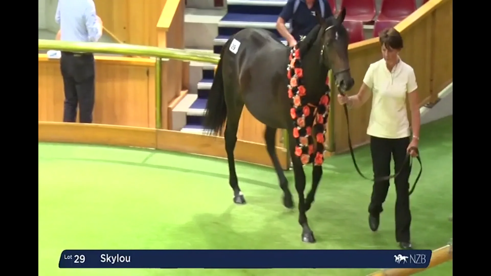 Skylou 2021 Auckland Yearling Sale, Lot 29 on Vimeo