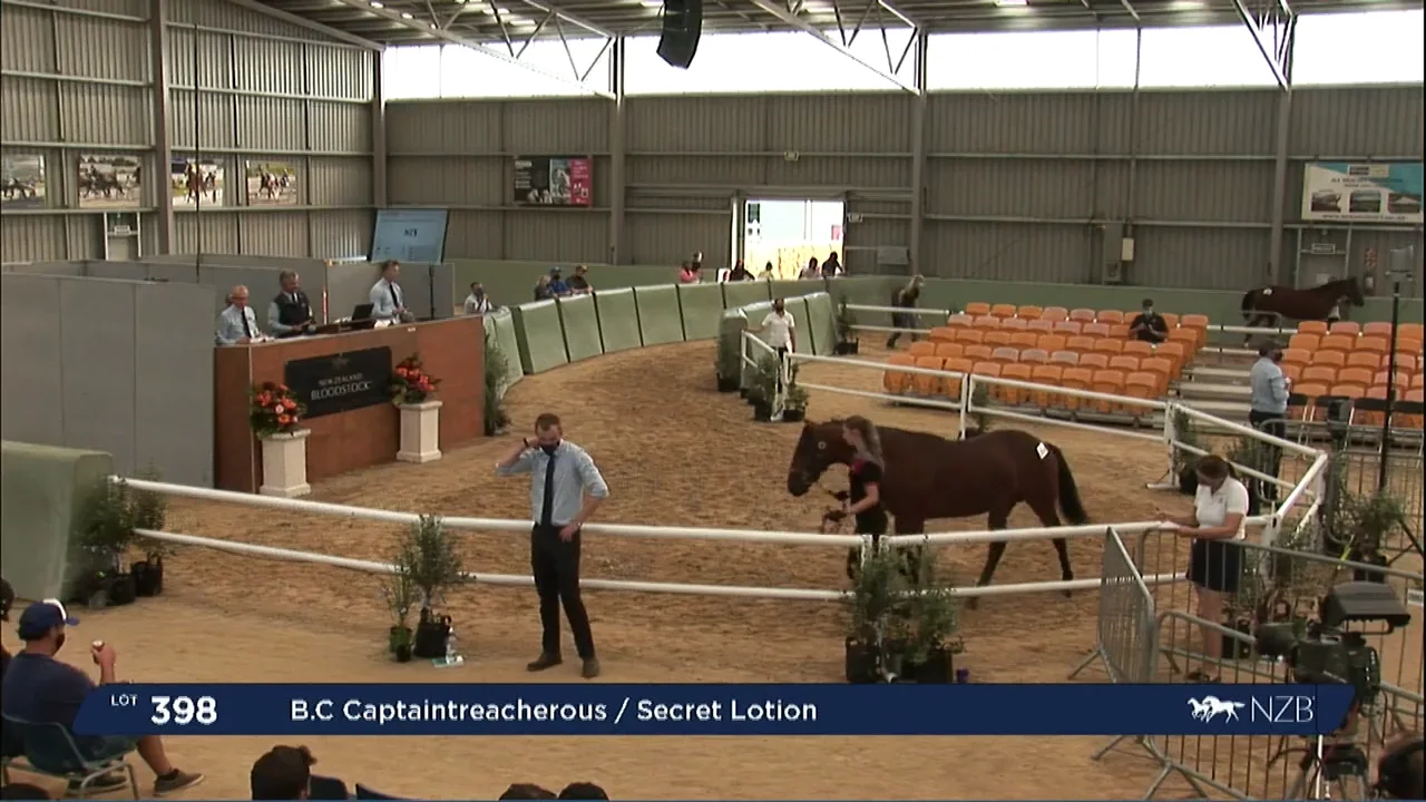 Chase A Dream 2022 Christchurch Yearling Sale, Lot 398 on Vimeo