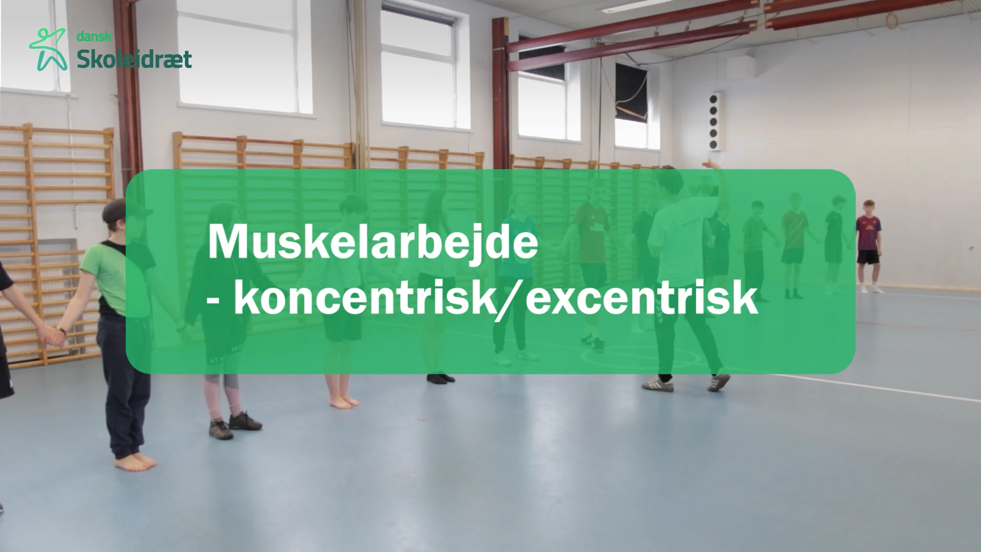 Muskelarbejde - koncentrisk/excentrisk on Vimeo