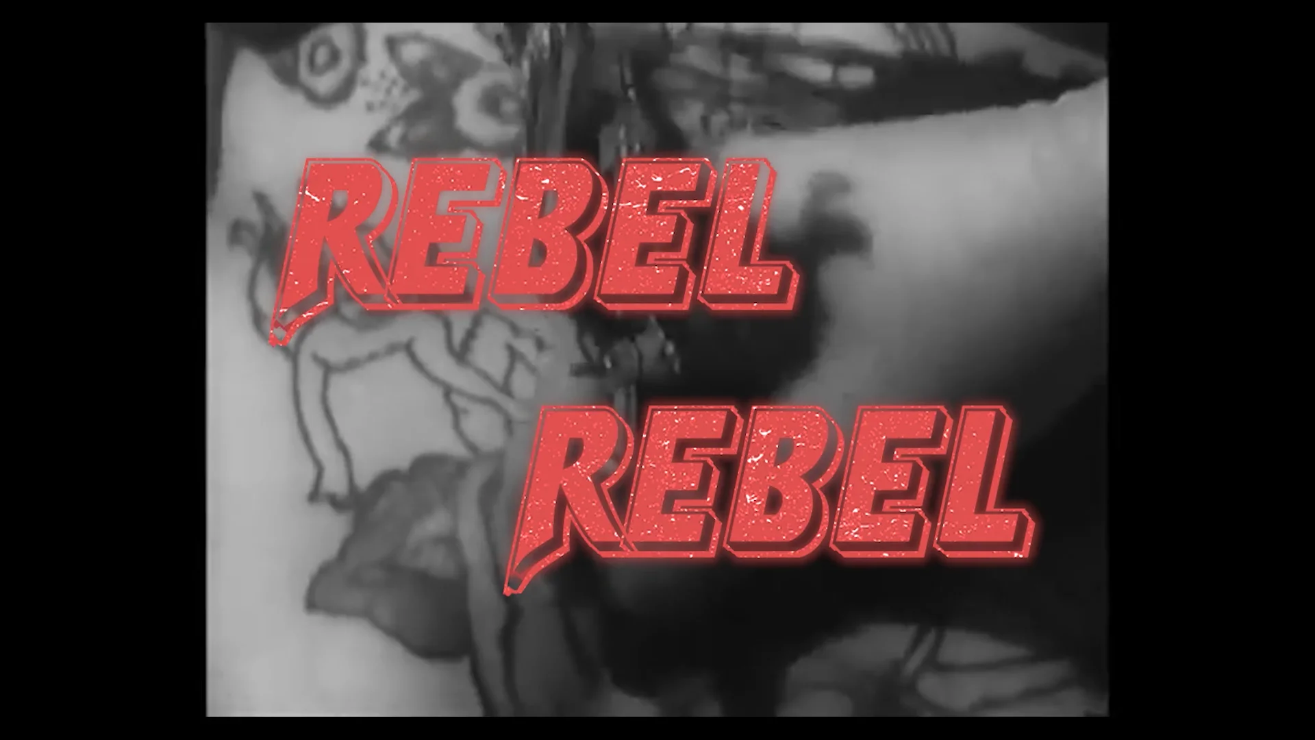 Rebel Rebel on Vimeo