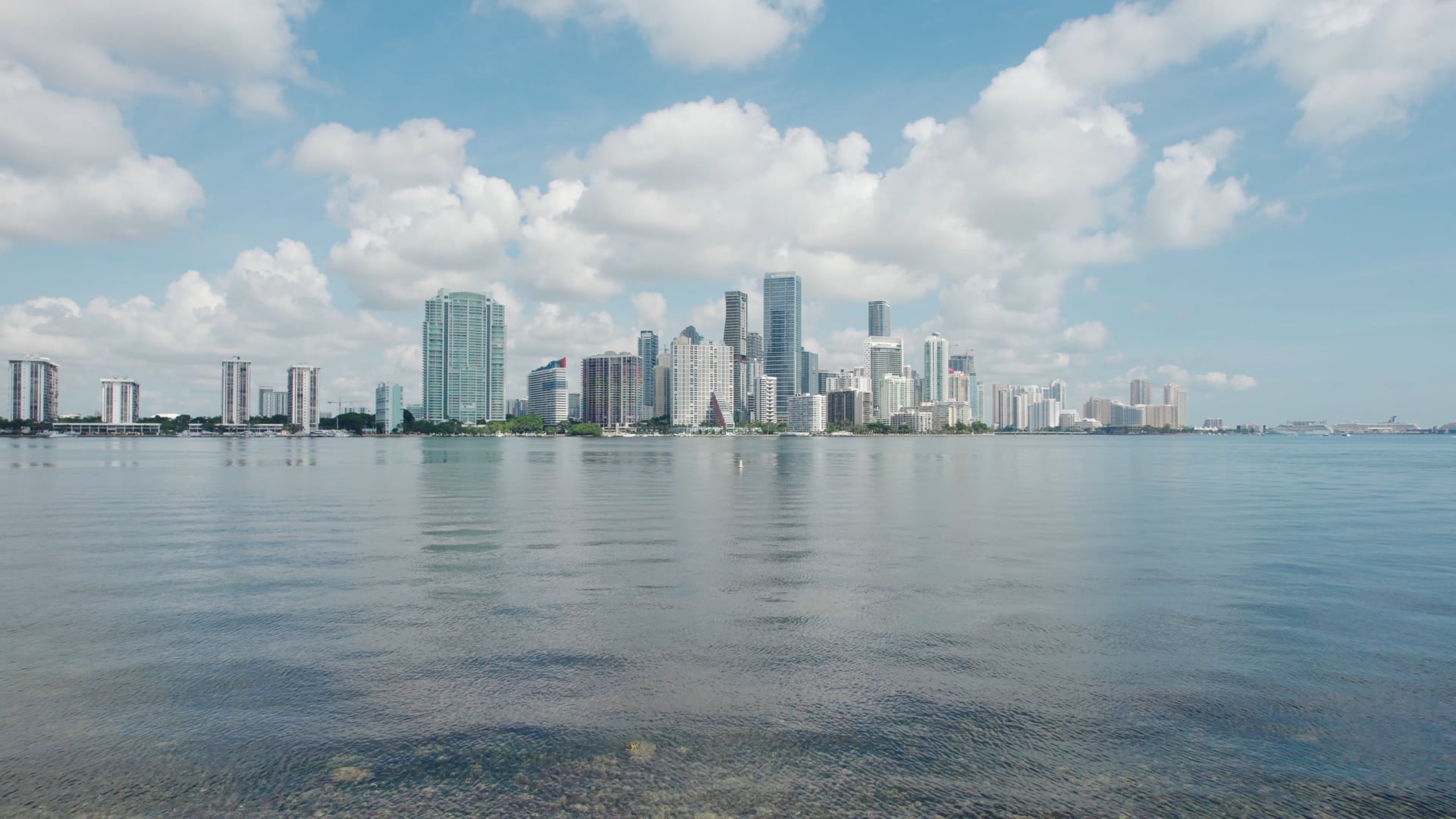 Weber Law, P.A. - Business Lawyer Miami, Business Law, Top Law Firms