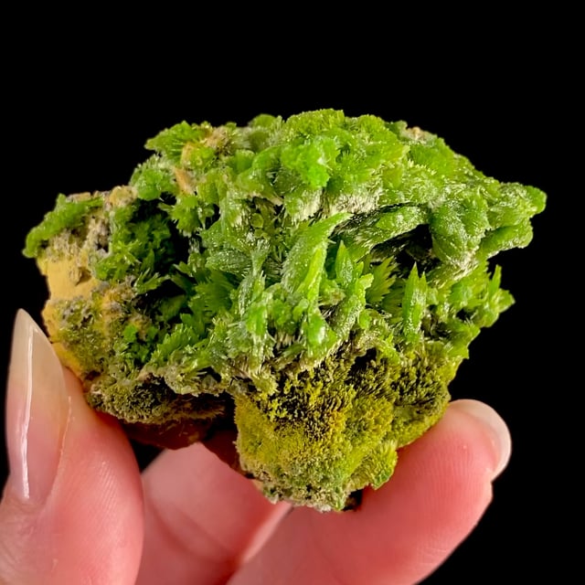 Pyromorphite (fine color) | Saint-Salvy Mine, Saint-Salvy-de-la-Balme ...
