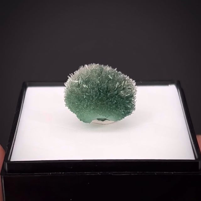 Natrolite - SCH-520 - Kurad - India Mineral Specimen