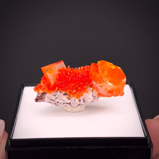 Wulfenite with Mimetite - SCH-709 - Rowley Mine - USA Mineral Specimen