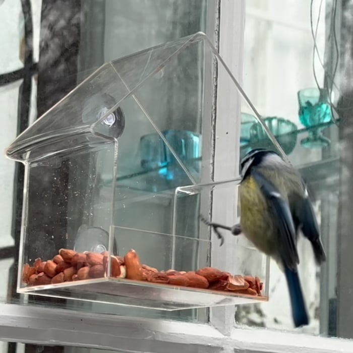 Fuglefodring året rundt | Claus Dalby