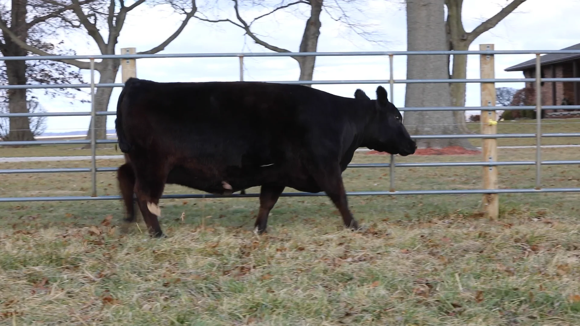 Kramer Farms 2007 on Vimeo