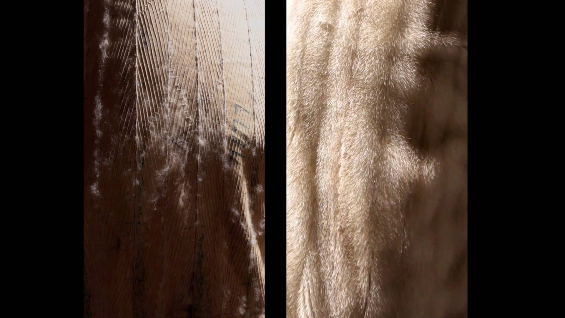 Living within Skins on Vimeo