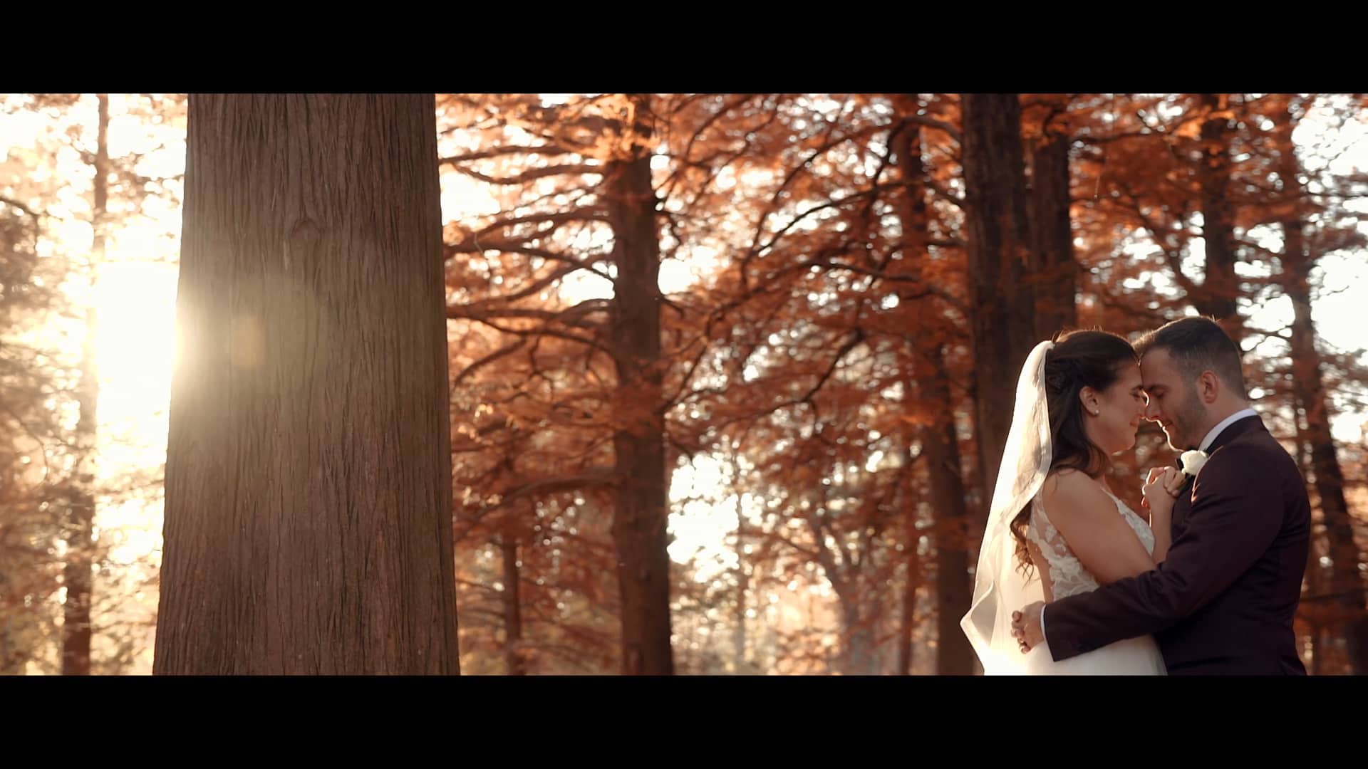 Jaclyn Nolan Wedding Teaser // Wild Carrot St. Louis, MO on Vimeo