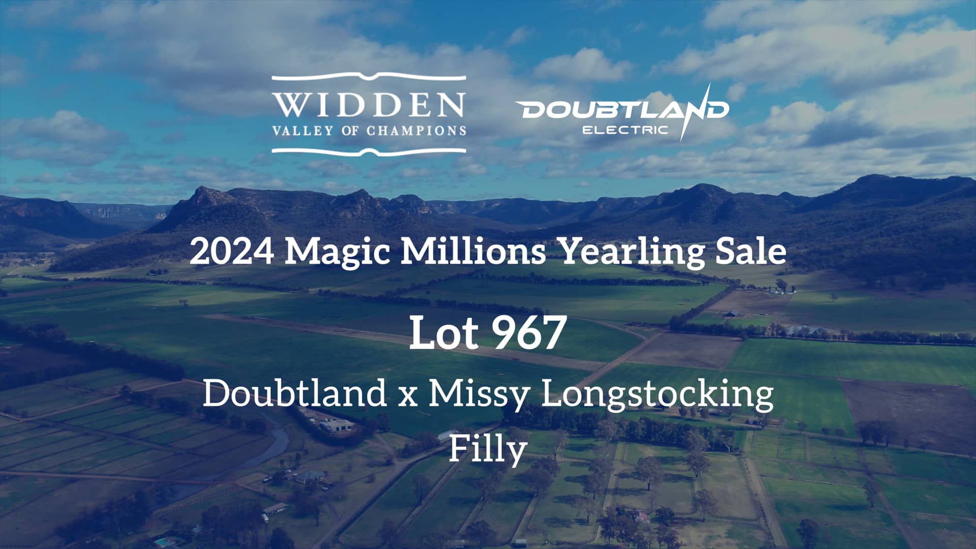 Lot 967 Doubtland x Missy Longstocking Filly on Vimeo