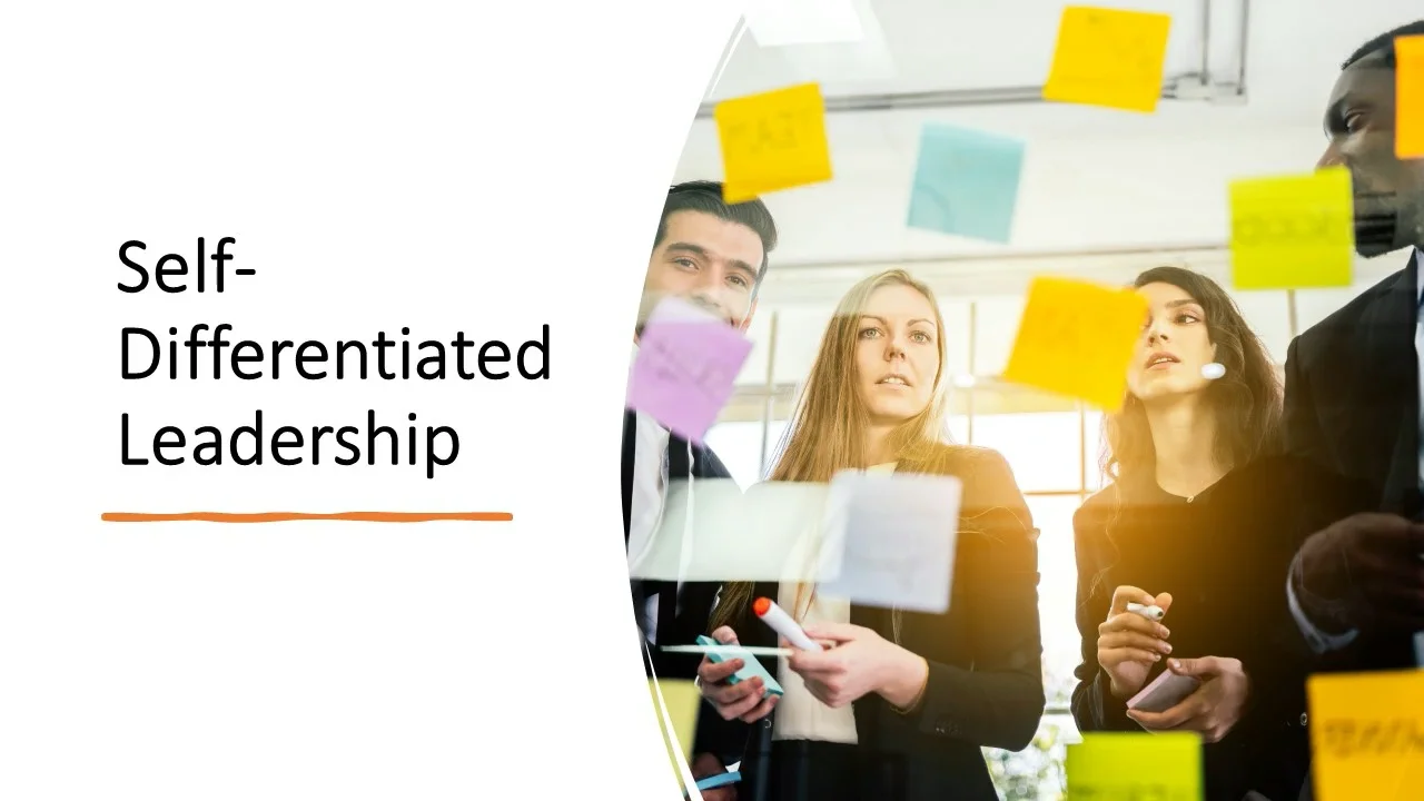 Self-Differentiated Leadership on Vimeo