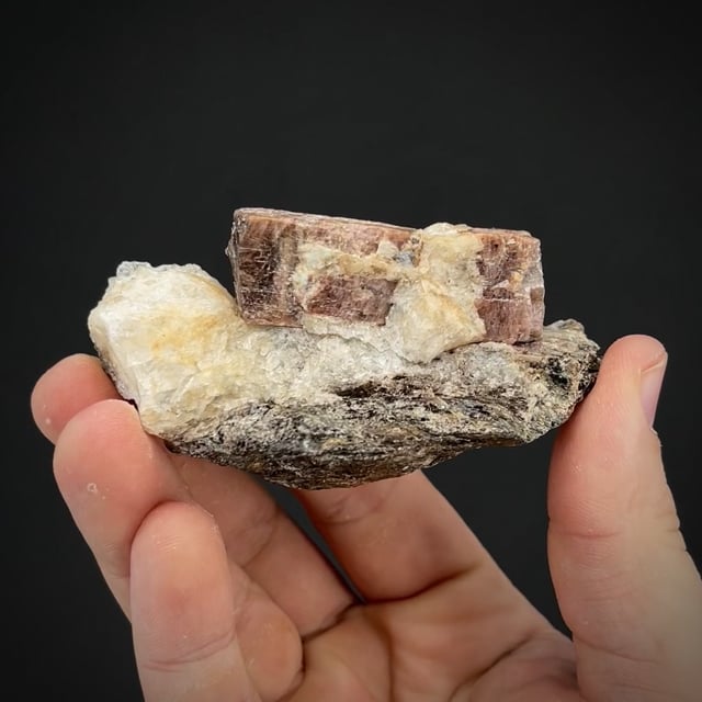 Andalusite on Quartz and Schist (MINDAT BENEFIT AUCTION) | Chete-Canete ...