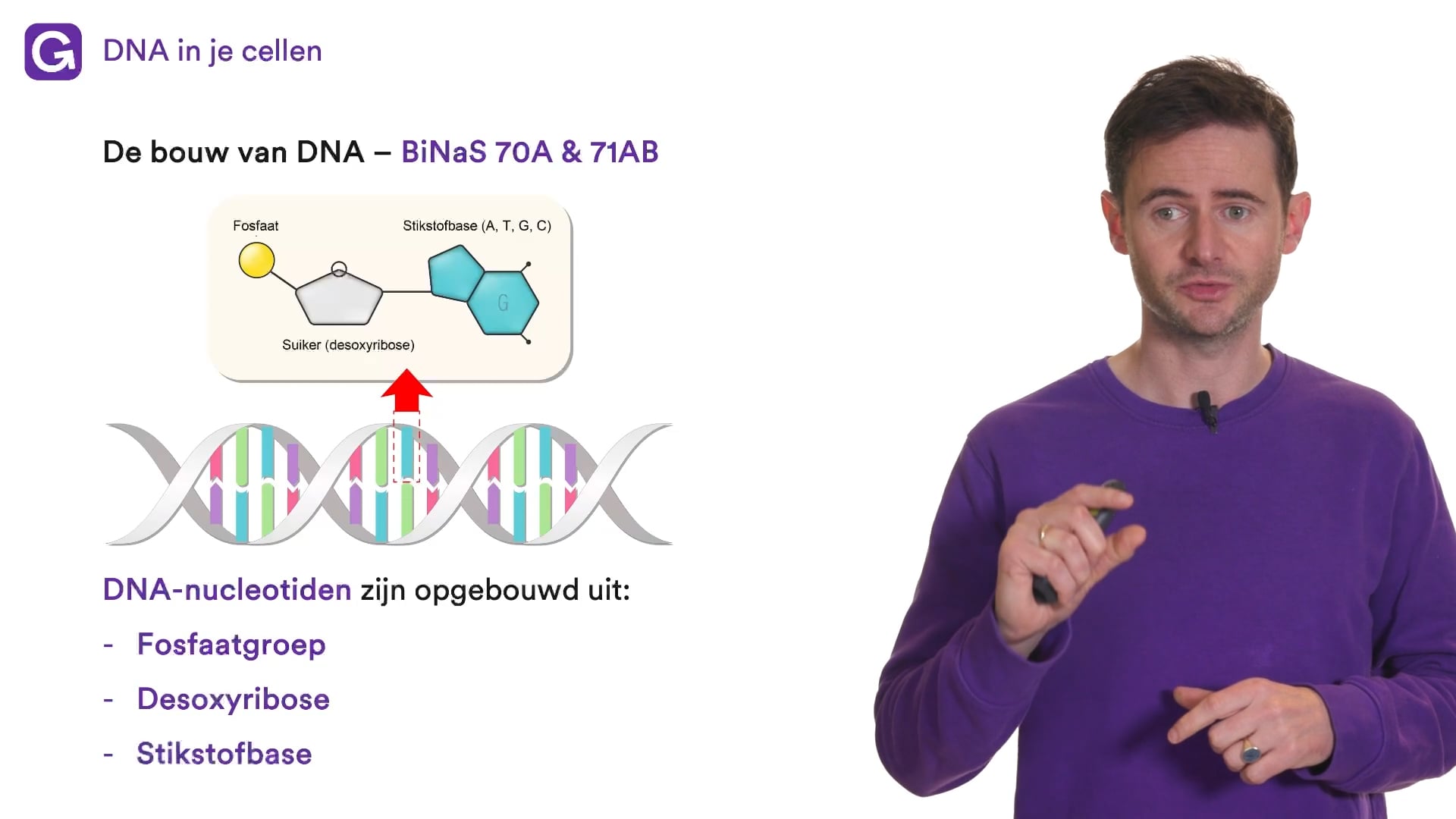 DNA in je cellen oefenen | StudyGo