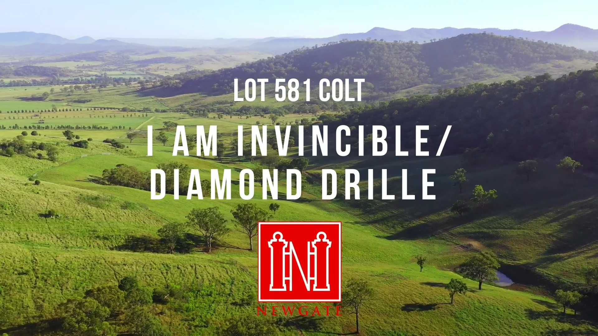 Lot 581 - I Am Invincible x Diamond Drille Colt on Vimeo