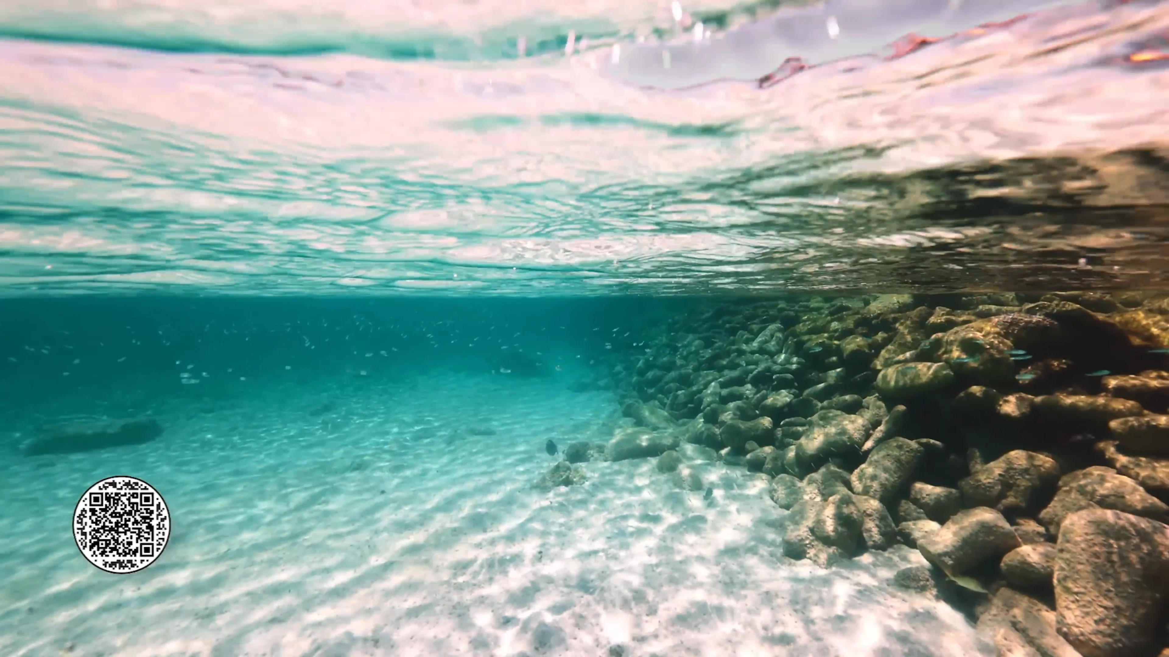 Top Beaches of Aruba on Vimeo