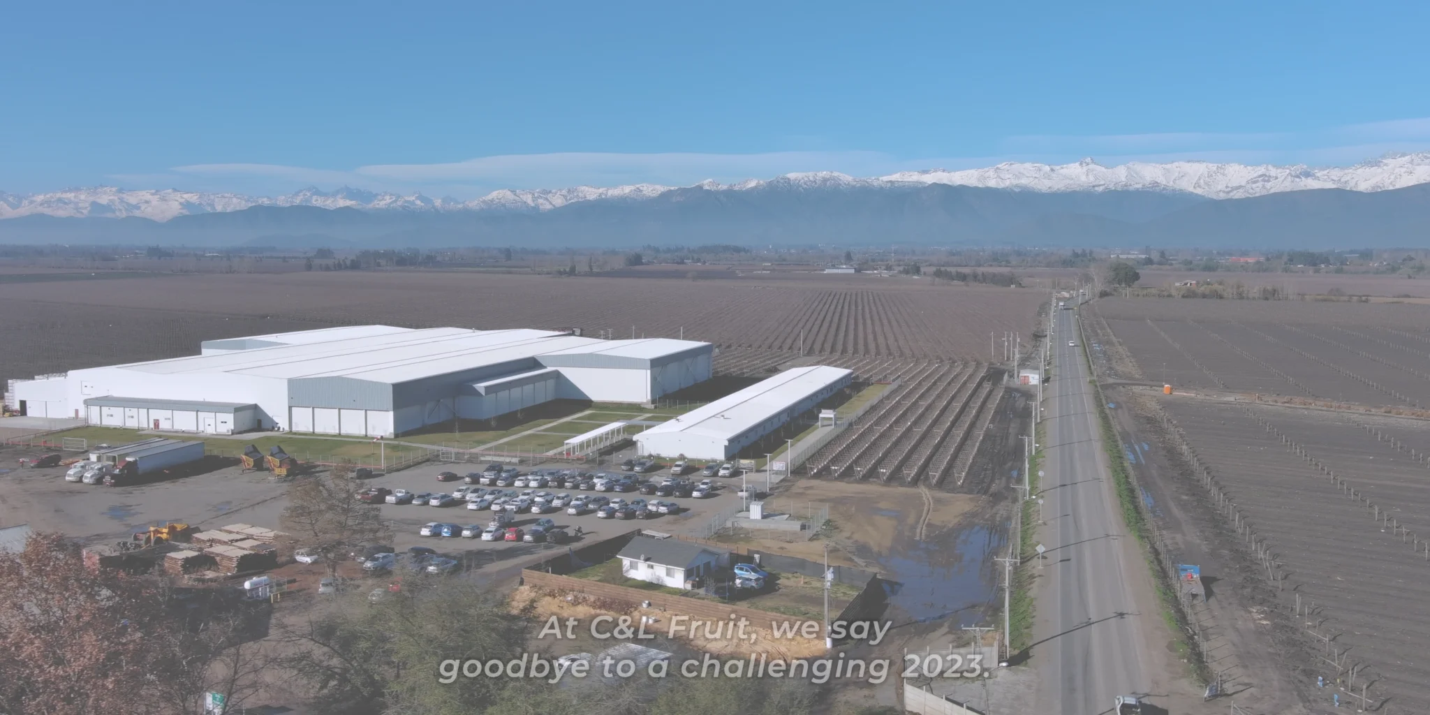 Saludo Año Nuevo 2024 C&L Fruit-Apple ProRes 422 LT