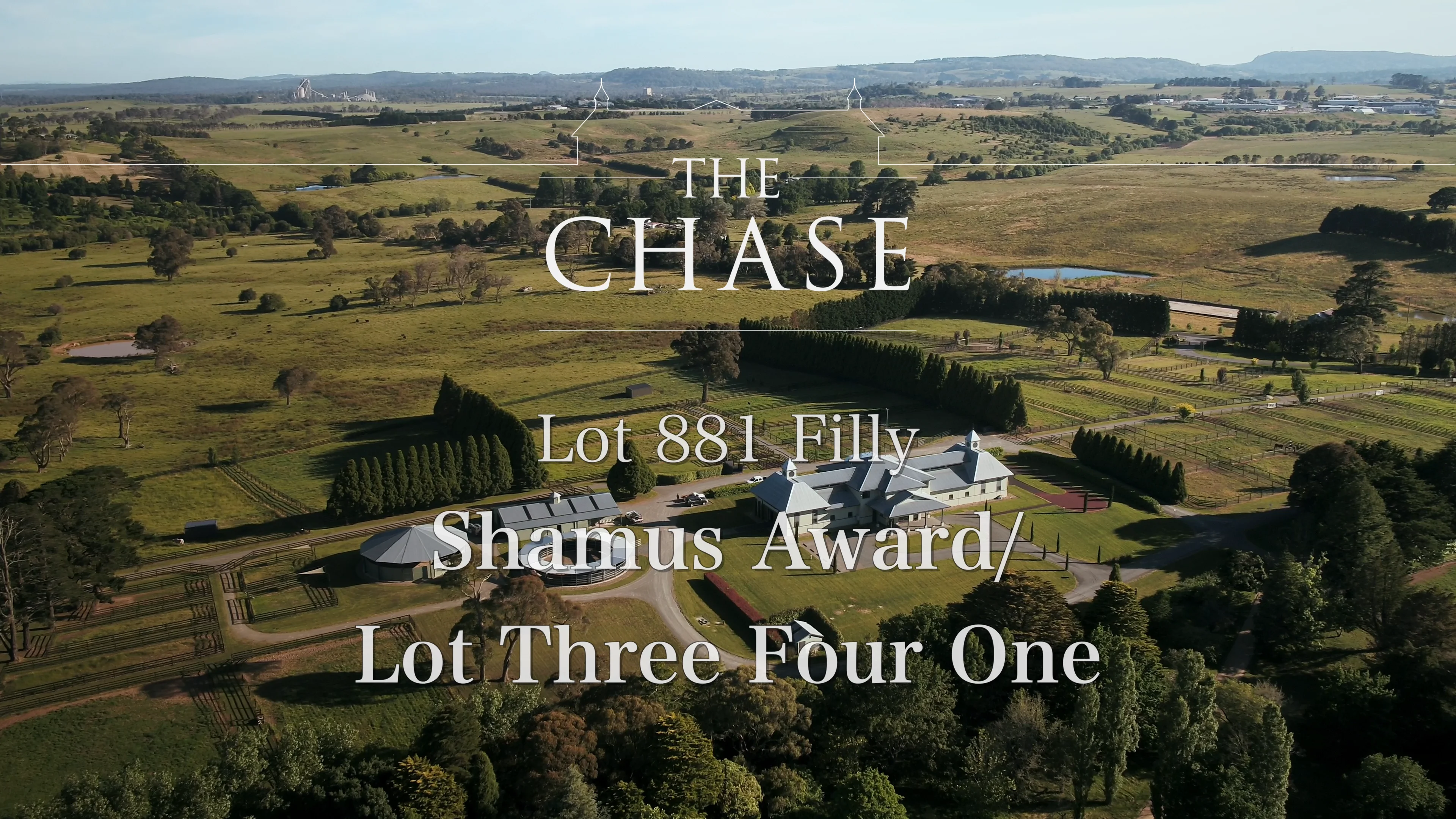 Lot 881 Shamus Award x Lot Three Four One