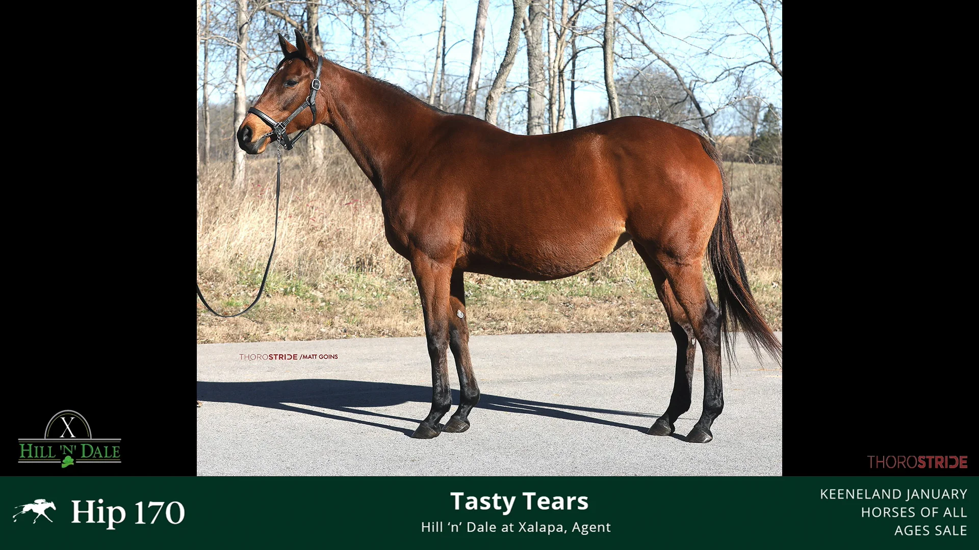 KEEJAN24_170_Tasty Tears on Vimeo