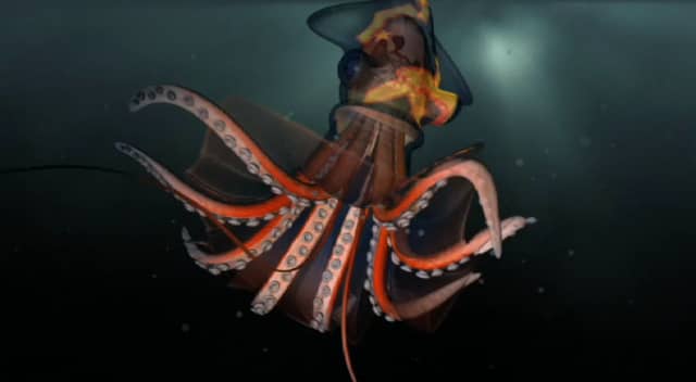 Benga feat. Coki : Night on Vimeo