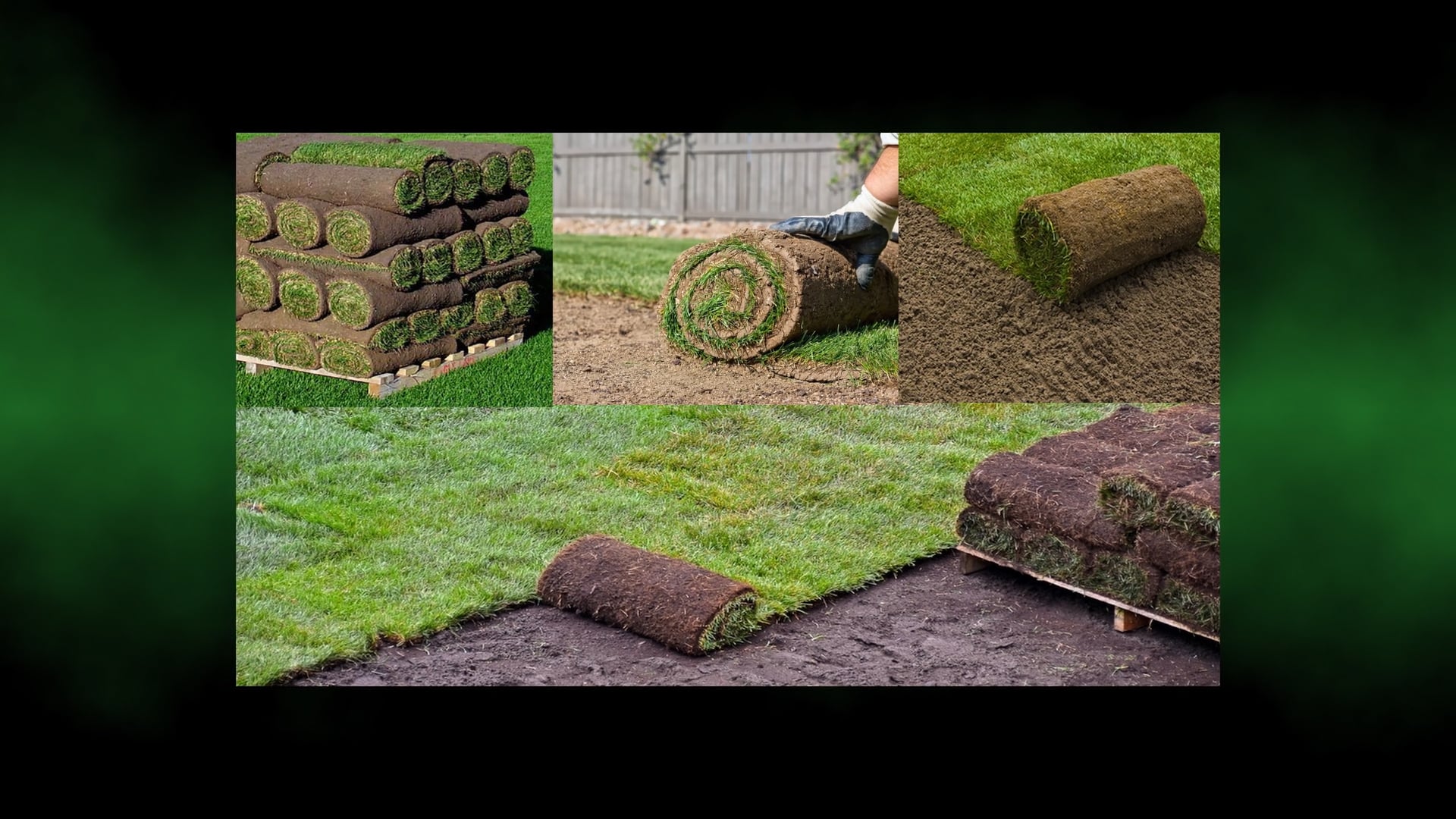 elite Kentucky bluegrass | Black Hills Sod Farm