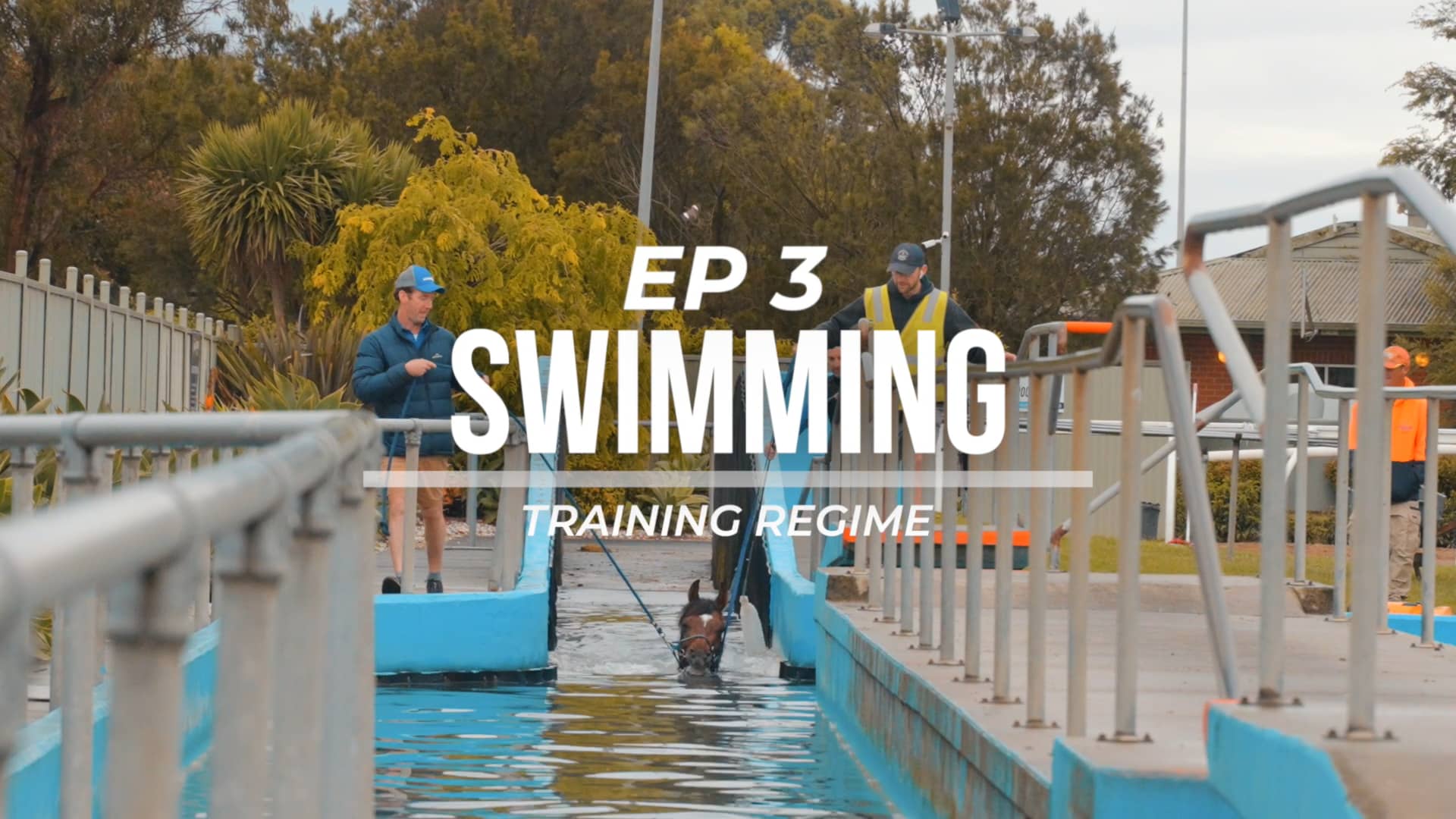 CMR | Training: Swimming on Vimeo