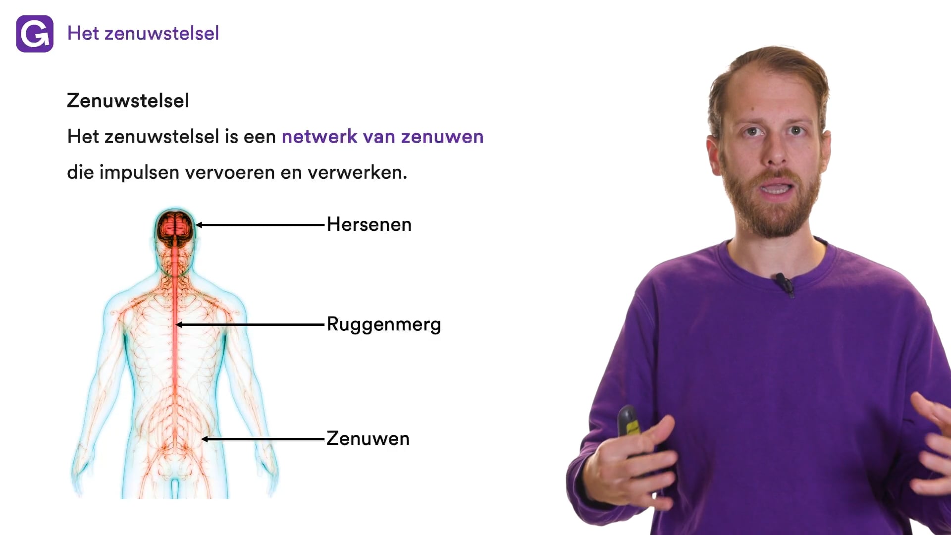 Zenuwcellen en zenuwen oefenen | StudyGo