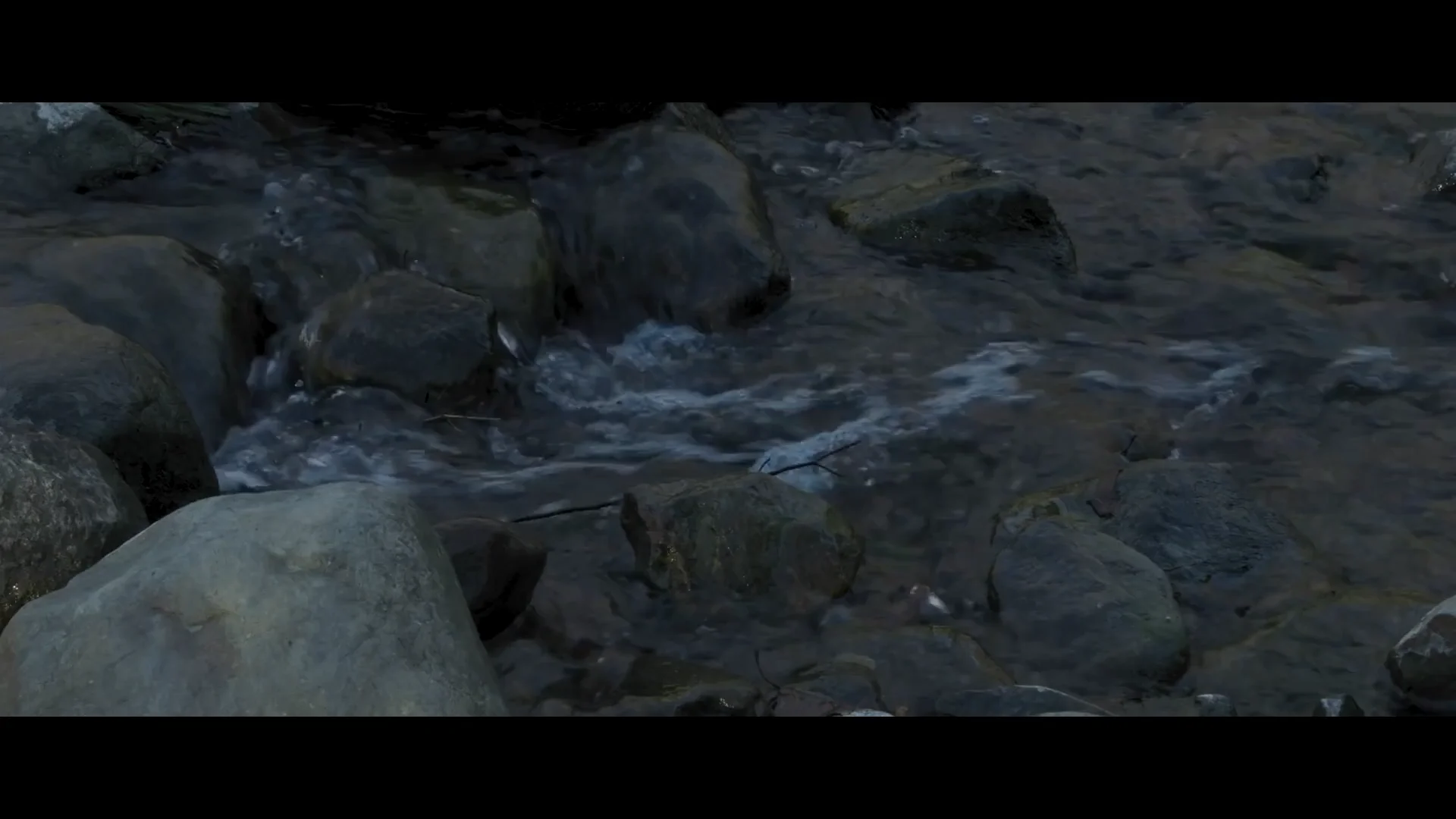 Daniel de Bruyn - Cinematography Reel 2023 on Vimeo