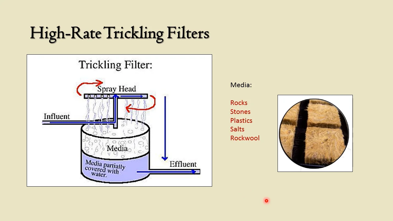 Sheet 8_Trickling Filters