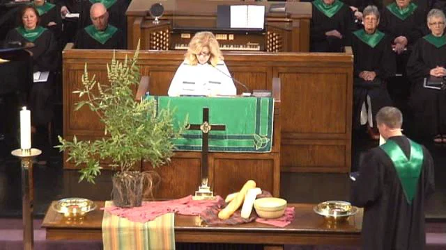 Rev Betsy Singleton Snyder-Sermon-July 24, 2011-Scripture Matthew 13:31 ...