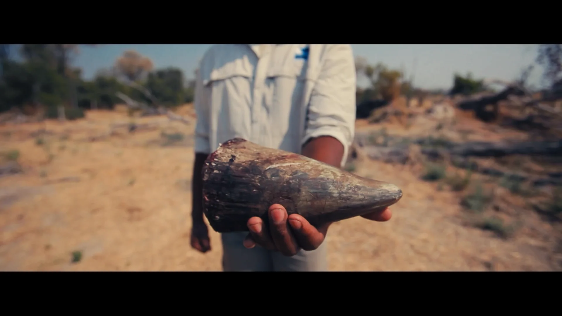 The Great Rhino Robbery - Trailer on Vimeo