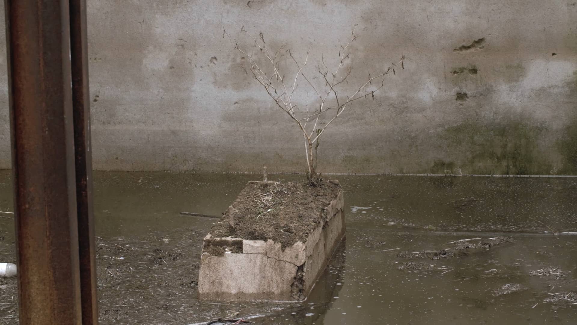 Rou trailer_4 on Vimeo