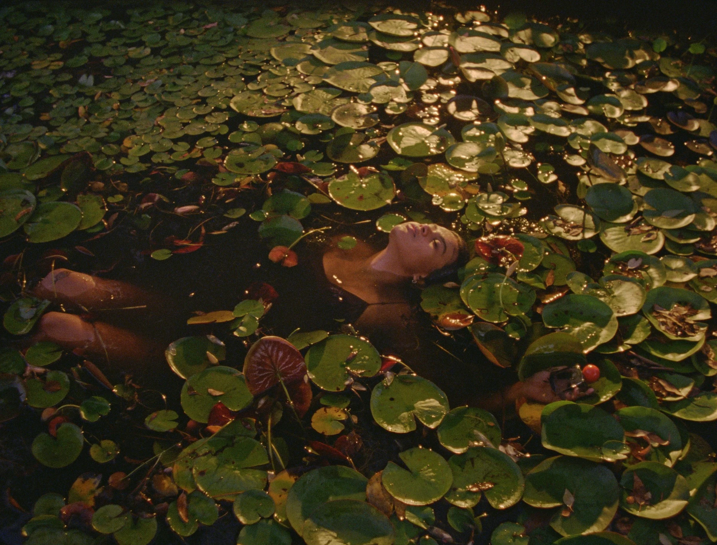 Pleasing Fragrance — RIVULETS on Vimeo