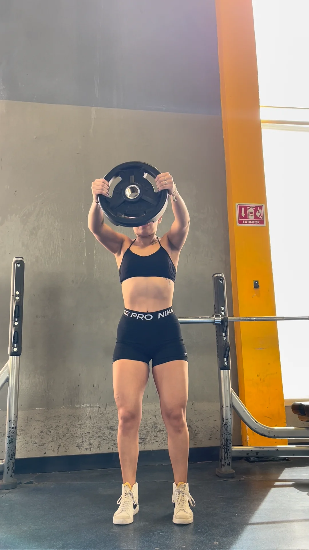 Elevaciones frontales con disco