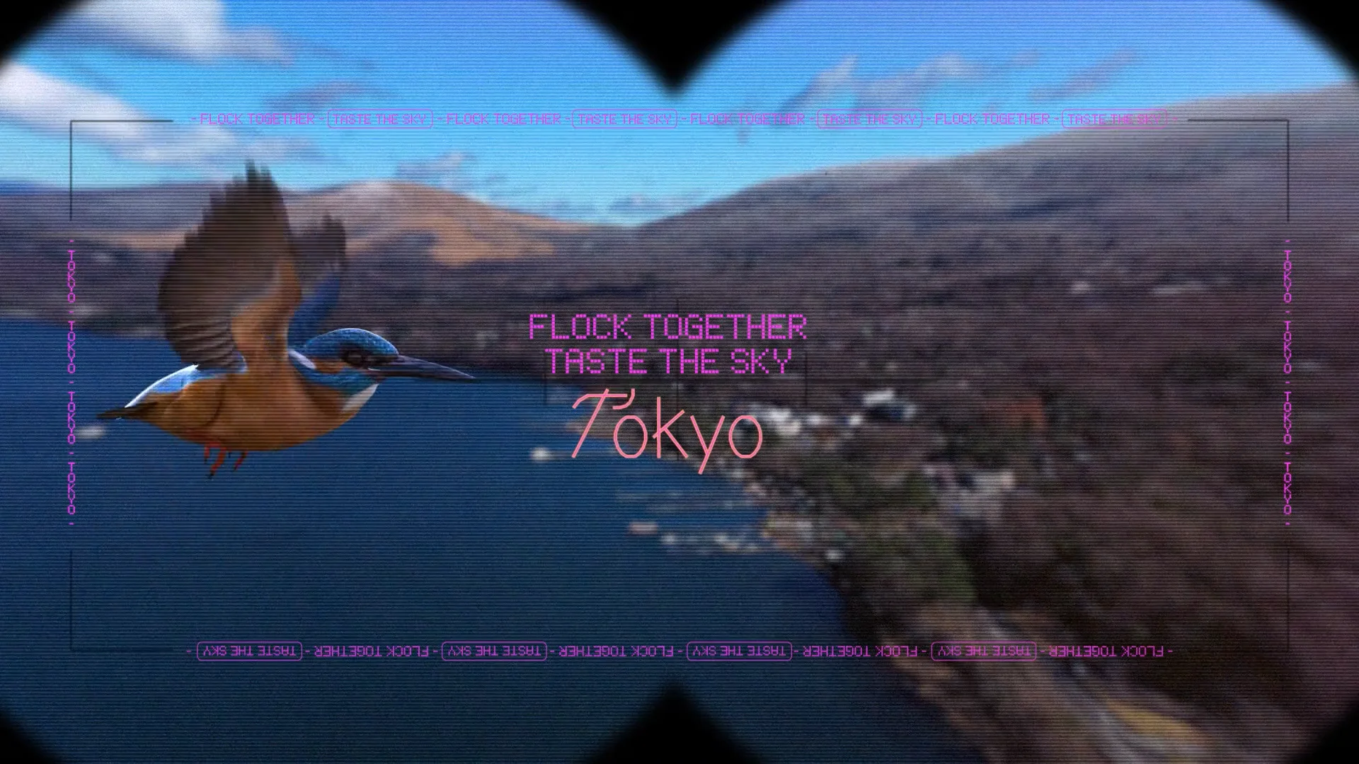 TASTE THE SKY