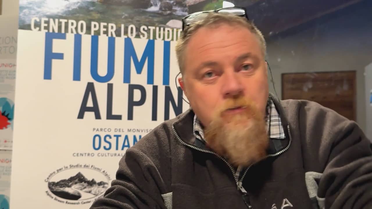 Stefano_plecotteri_001 on Vimeo