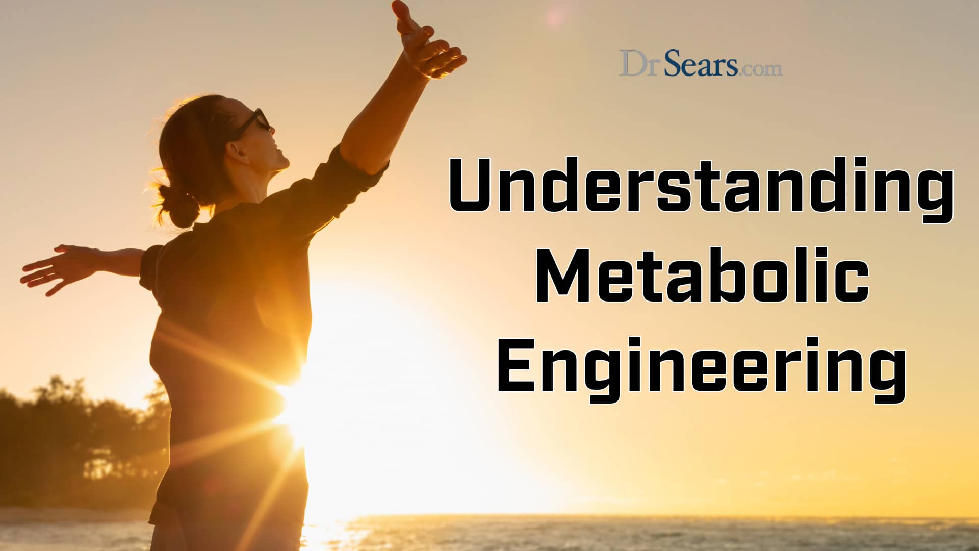 Understanding Metabolic Engineering on Vimeo
