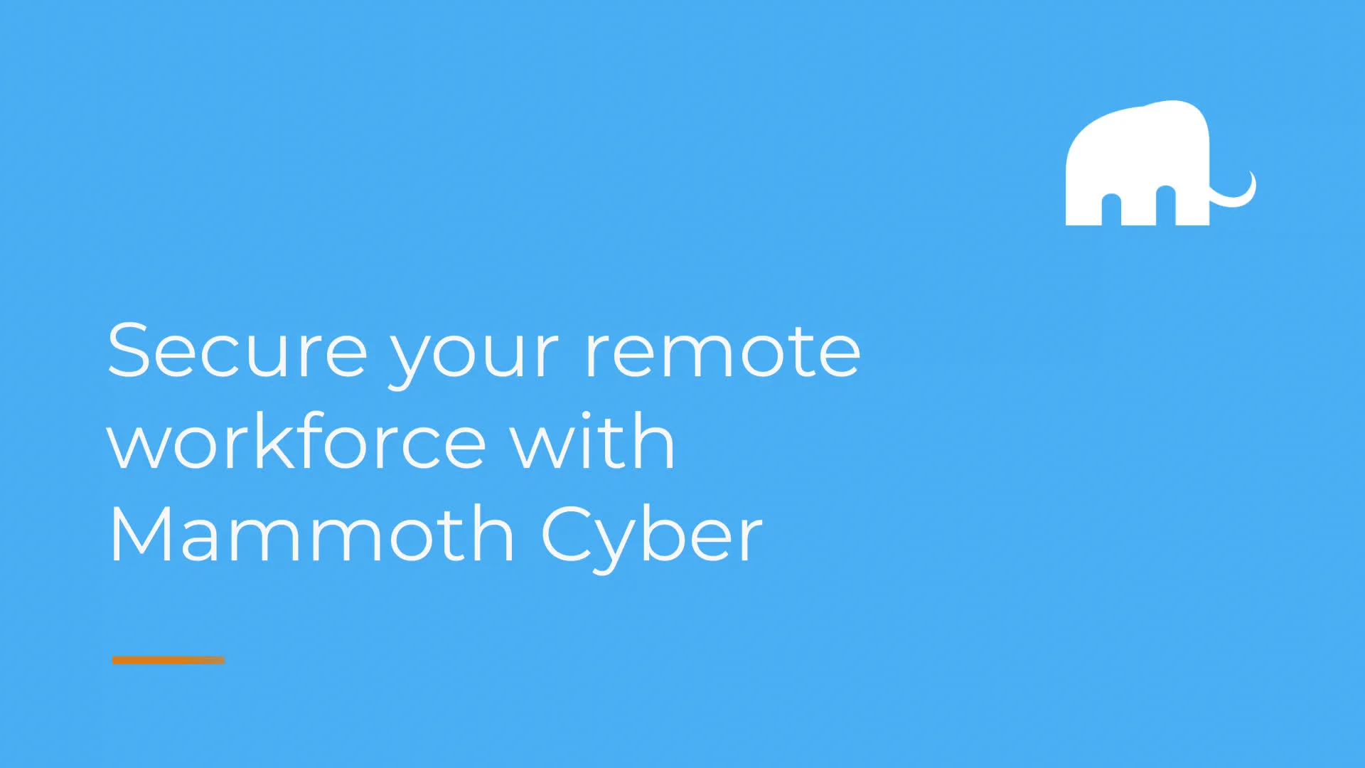 Mammoth Cyber Explainer Video on Vimeo