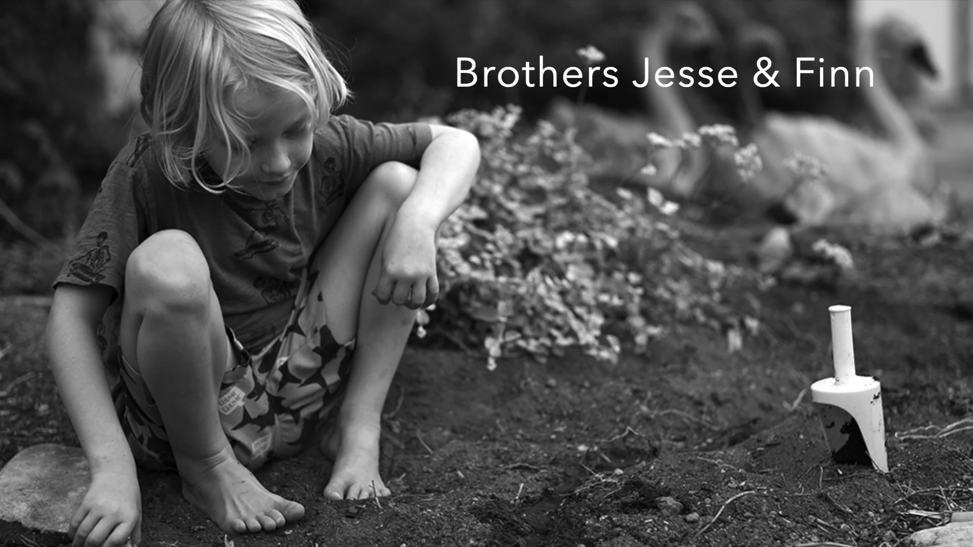 Photographer Peter Kovacsy - Pemberton Western Australia - Brothers ...