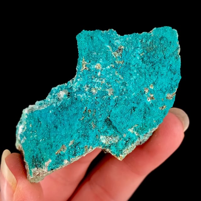 Dioptase (rare locality specimen) | Blue Bell Mine, Zzyzx, Soda Mts ...