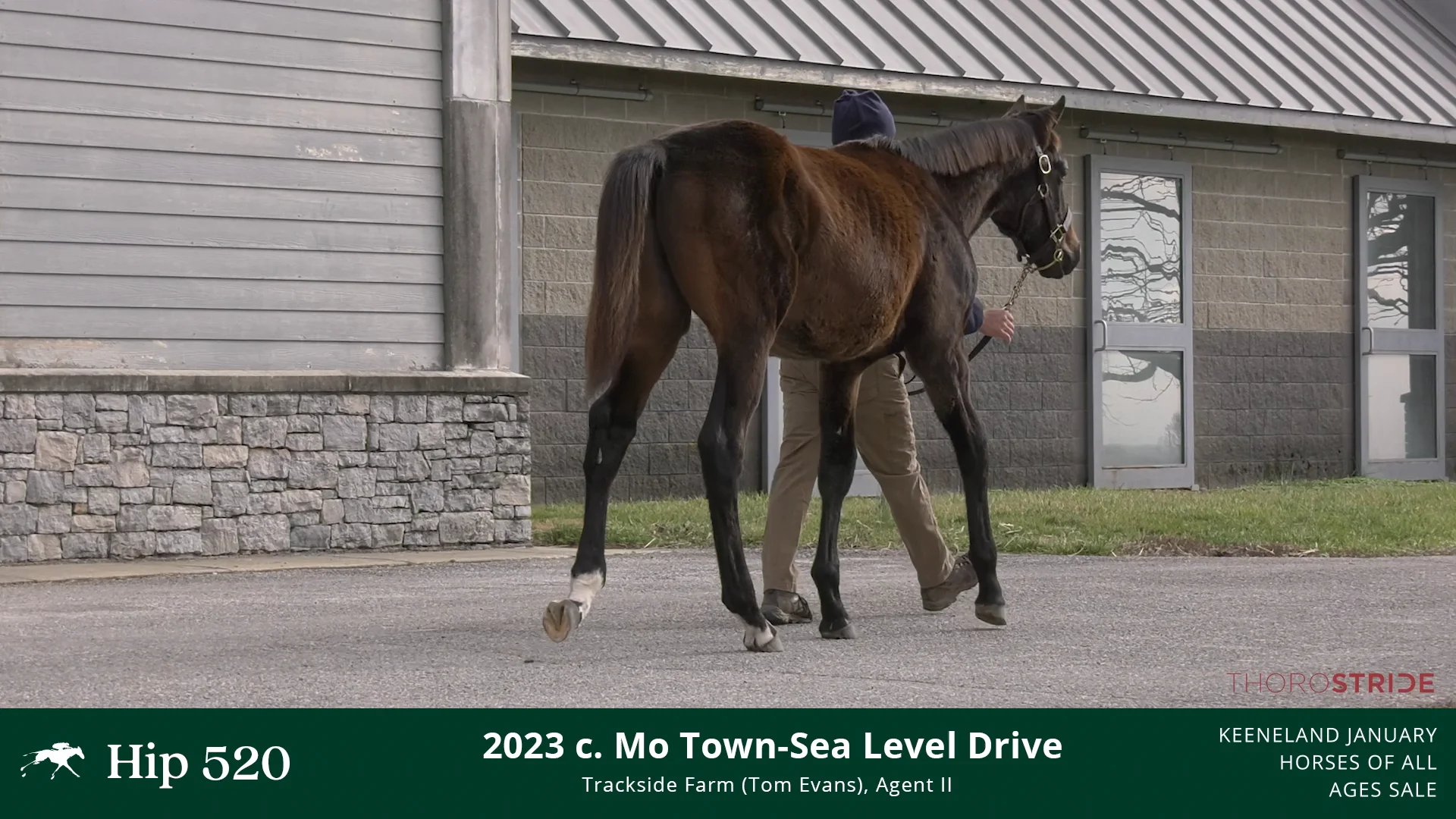 KEEJAN24_Hip 520_Sea Level Drive 23 on Vimeo