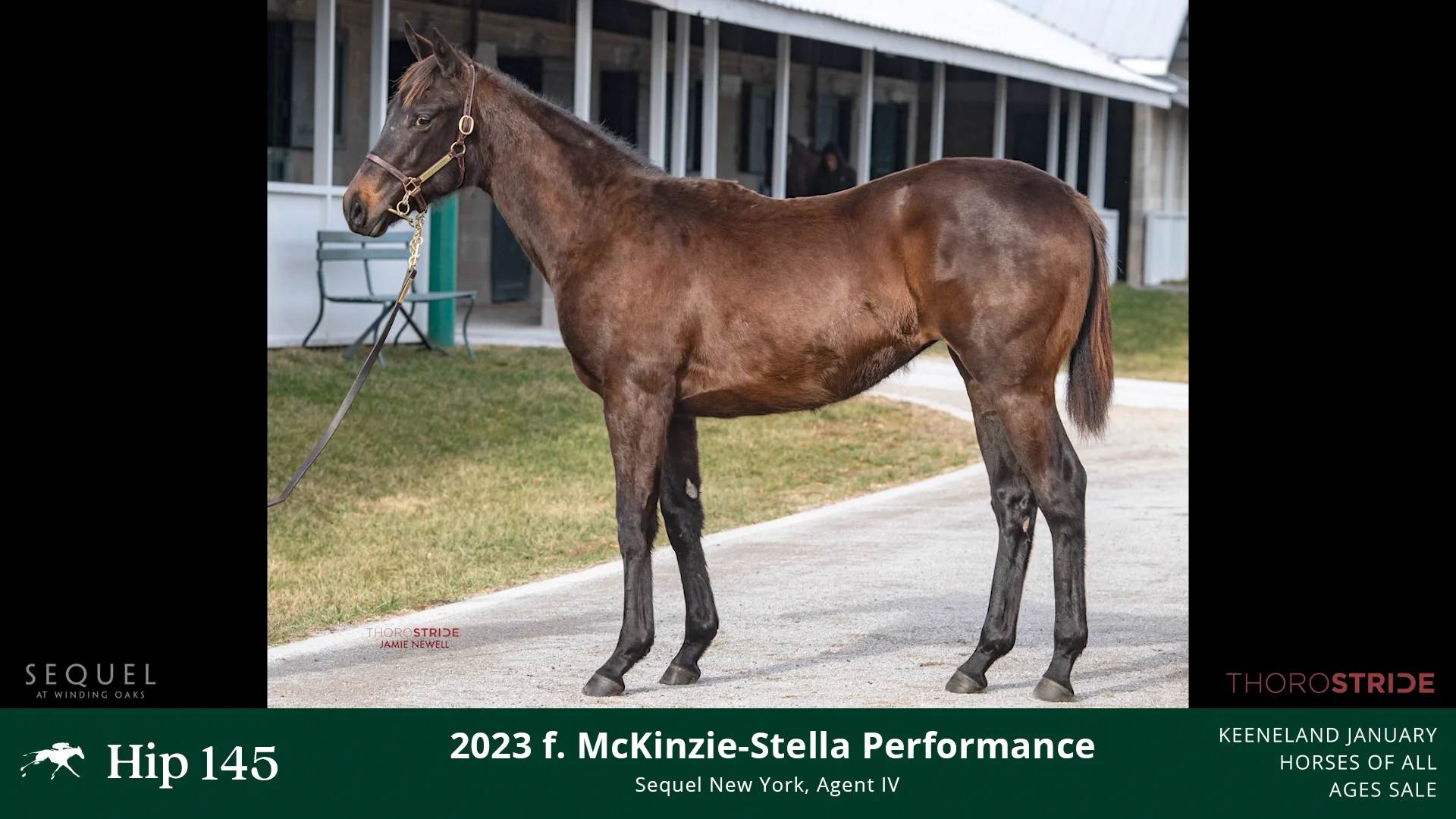 KEEJAN24_Hip 145_Stella Performance 23 on Vimeo