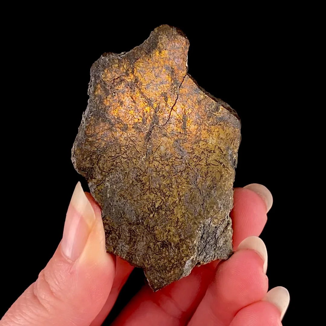 Platinum - Palladium ore in Gabbro (polished)