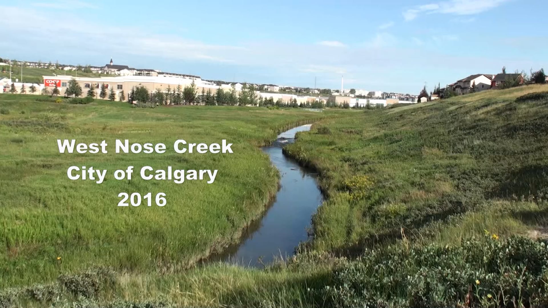 Building a log v-weir